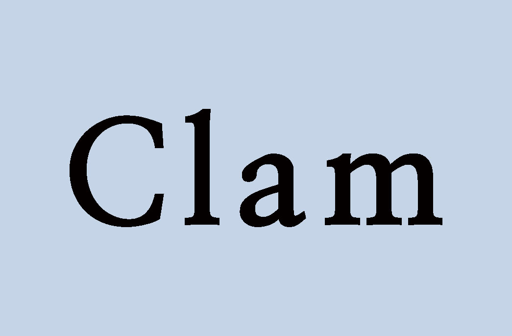 New-클램(Clam)
